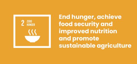Goal 2 Zero Hunger | SDGs Center Universitas Diponegoro